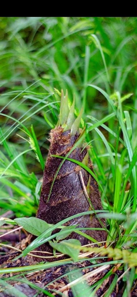 这是怎麽啦中航沈飞600760股吧东方财富网股吧