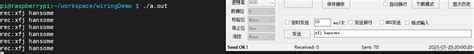 树莓派4b通过wiringp库实现串口通信的实验wiringpi串口通信 Csdn博客