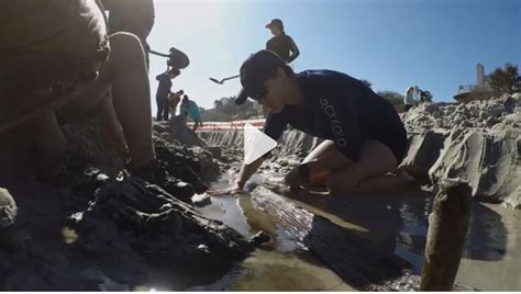 Mystery Object Unearthed By Storms Erosion In Florida 1715 Fleet Society