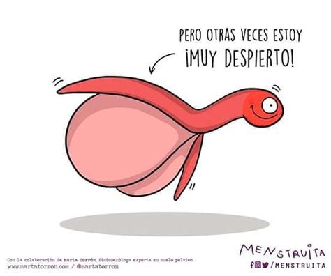 Cleopatra Sex Shop Lorica Cleopatrasexshoplorica • Instagram Photos And Videos