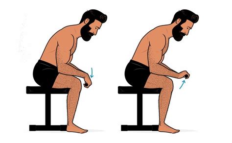 The 3 Best Exercises For Building Bigger Forearms
