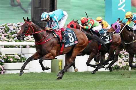 中銀香港馬會盃沈集成冀「浪漫勇士」力爭季內初出即勝 浪琴香港國際賽事2022 香港賽馬會