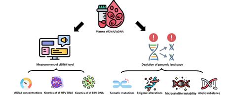 Application Of CfDNA CtDNA Icons Made By Flaticon Flati Con Download Scientific Diagram