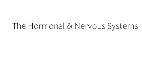 Powerpoint On Hormonal And Nervous Systems Ppt