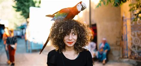 金融科技smartney波兰办公 Bit Creative Archina 项目