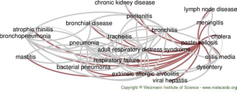 Pasteurellosis Disease Malacards Research Articles Drugs Genes