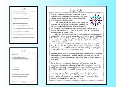 Stem Cells Reading Comprehension Passage Printable Worksheet Teaching