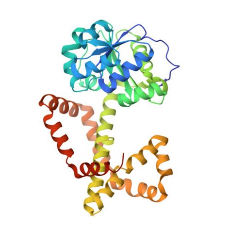 Rcsb Pdb 9b9p Crystal Structure Of Staphylococcus Aureus Ketol Acid