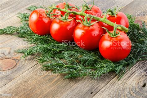 물 방울과 익은 신선한 토마토의 지점 및 딜의 많은 나무 바탕에 거짓말 0명에 대한 스톡 사진 및 기타 이미지 0명 건강한