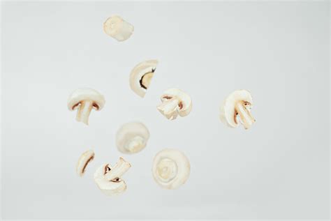 흰색 배경에 버섯 클로즈업 버섯은 공중에서 날아옵니다 음식과 가까운 텍스트를 위한 공간과 여유 공간을 복사합니다 개념에 대한