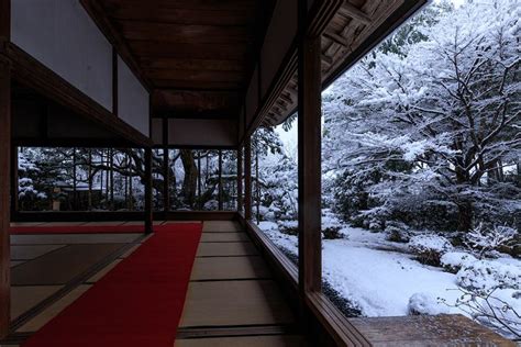 宝泉院・雪の華 花景色－k W C Photoblog 雪の華 背景 イラスト 景色