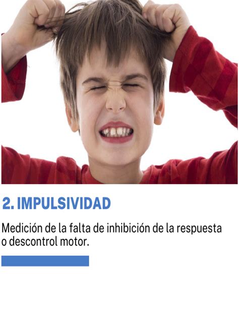 Â¿cuales Son Las 5 Funciones Cognitivas Que Evalua Nesplora Aula Pdf