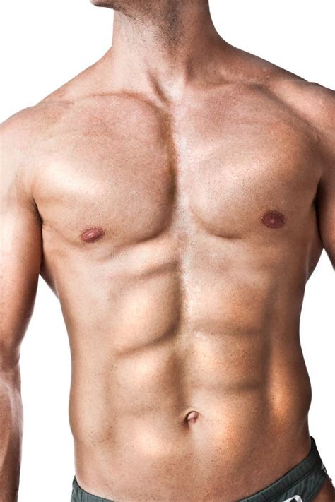 Torso With Six Pack Stock Image Image Of Diet Young 24480915