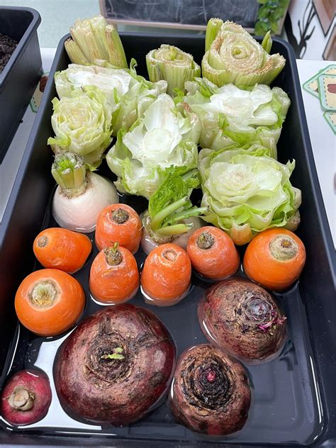 Uaeschools Preschoolactivities Preschoolteacher Preschoolers Kgs Amy Reule