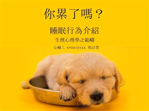 你累了嗎─睡眠行為