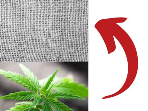 Fabric Inspection Procedure Ensuring Quality And Consistency Ordnur
