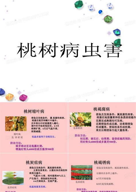 桃树病虫害ppt模板下载编号qwarwroy熊猫办公