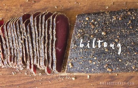 How To Make Biltong In A Food Dehydrator Dryera