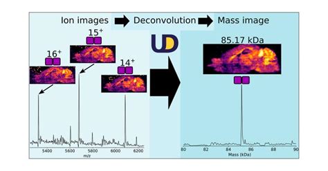 Dr Manasi Gaikwad On Linkedin High Throughput Deconvolution Of Native