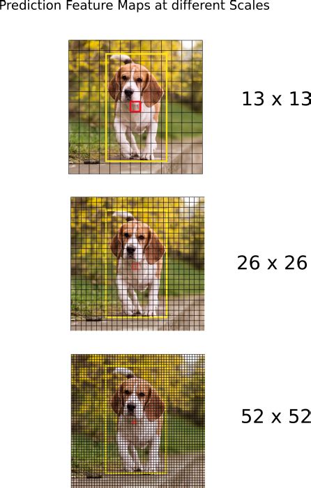 yolo for object detection architecture explained by sairaj neelam