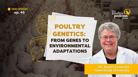 The Poultry Podcast Show • By Wisenetix On Linkedin 46 Poultry