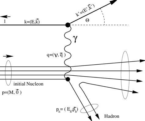 A Schematic Illustration Of The Hadronization Process Download