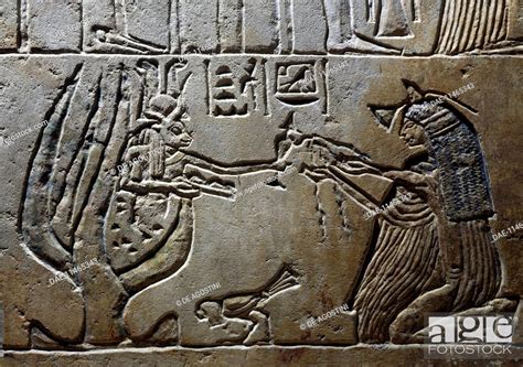 Takhae Receiving Water From The Goddess Hathor In The Likeness Of A