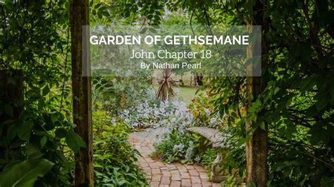 Garden Of Gethsemane John Fasci Garden