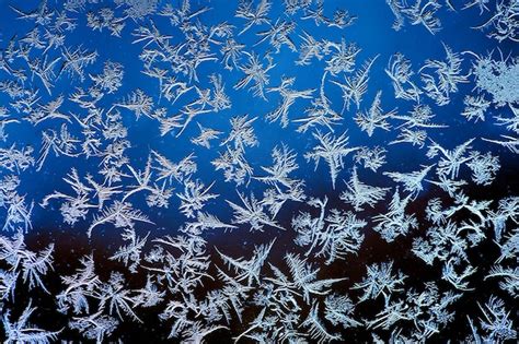 Premium Photo Frost On The Glass Abstract Natural Texture