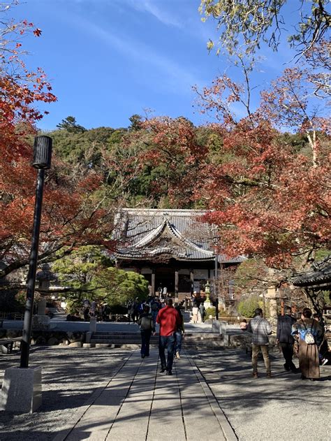 【月一沿線倶楽部】紅葉もオススメ。伊豆箱根鉄道駿豆線 ラントリップ