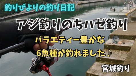 アジ釣りのちハゼ釣りバラエティー豊かな6種目が釣れました YouTube