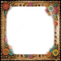 M3 Frame Flowers Boho Pink Border Fall Autumn Artcore Cute