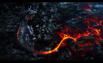 X Hd Wallpapers Only Wallpapersafari
