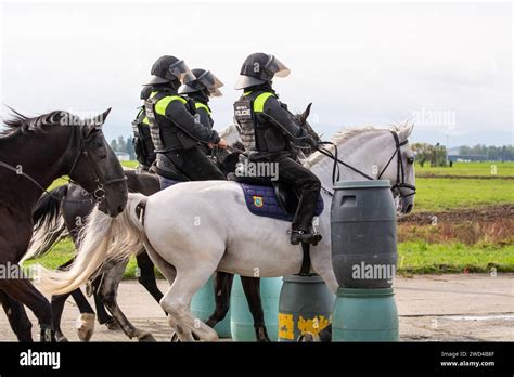 Riot Police On Horseback Czech Republic City Police Officers Mounted