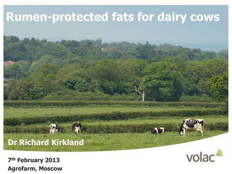Ppt Rumen Protected Fats For Dairy Cows Powerpoint Presentation Free