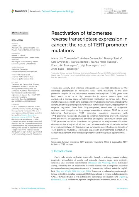 Pdf Reactivation Of Telomerase Reverse Transcriptase Expression In Cancer The Role Of Tert