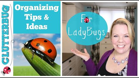11 Clutterbug Ladybug Ideas Organization Hacks Fashion Organization Organization