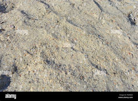 Yellow Sand With Shallow Shell On The Beach Of The Black Sea In The