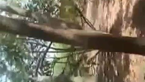 Desi Odisha Couple Fucking Outdoor Tnaflix Porn Videos