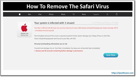 Learn How To Remove The Safari Virus Quickly And Effectively IP With Ease