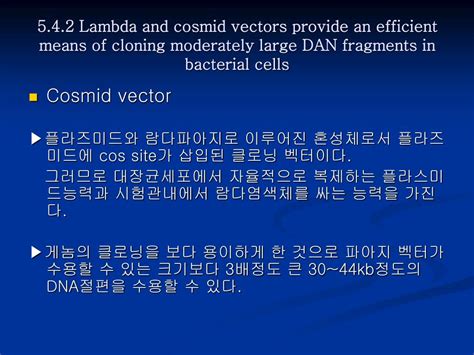 Ppt Chapter Five Amplifying Dna Pcr And Cell Based Dna Cloning