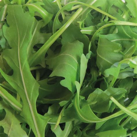 Rocket Packet A And T Cooper