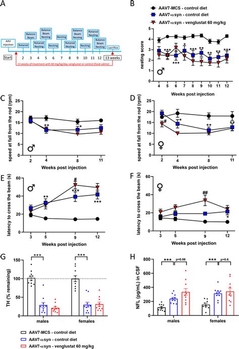Venglustat Partially Worsens Motor Performance In A Viral Mouse Model