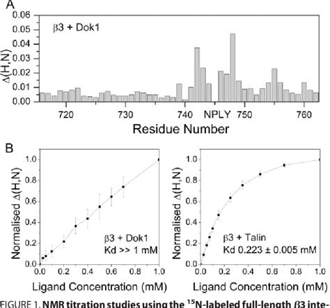 Figure 1 From An Integrin Phosphorylation Switch Semantic Scholar