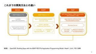Sit Tokyo Getting Started With Abap Rap Pdf