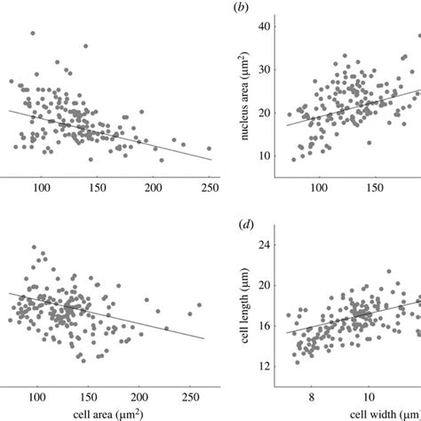 Relationships Between Morphological Variables Of Erythrocytes A N Download Scientific