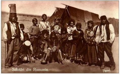 Peste 100 de profesori şi mediatori şcolari vor urma un curs despre