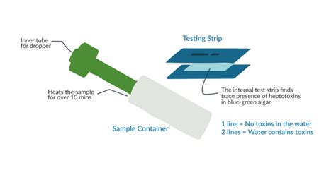 3 X Blue Green Algae Test Kits Love My Pond