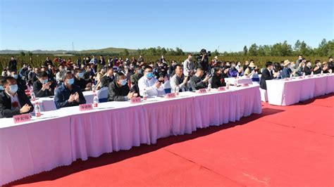 张家口中国藜麦第一县首次为藜麦举办高峰论坛 张家口新闻网