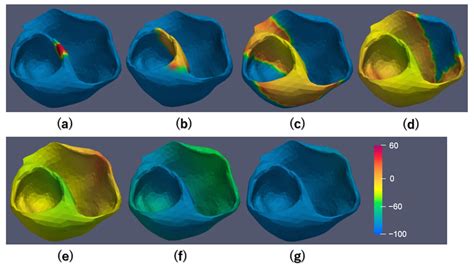 Parallelization Of Three Dimensional Cardiac Simulation On Gpu